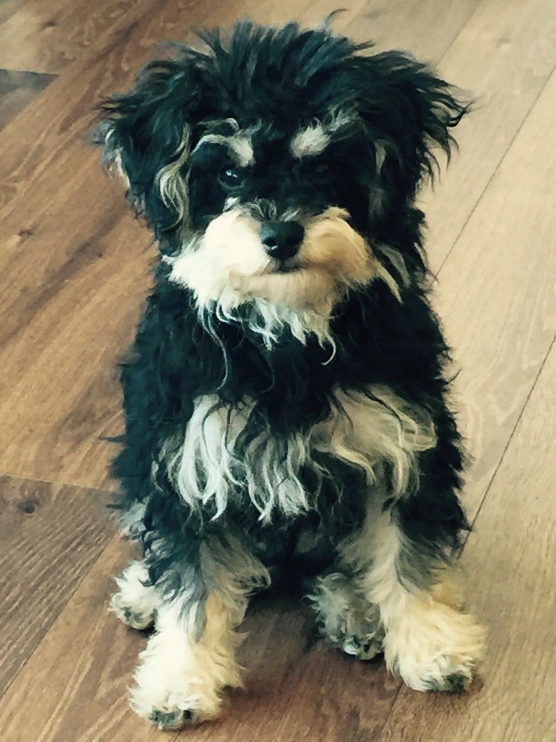 Life Story Examples: Writing your life story using the Times of My Life ...